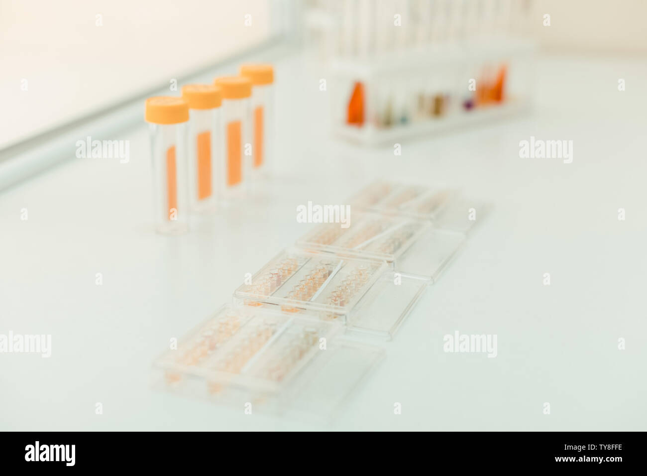 Close up of glass box with test samples Stock Photo - Alamy