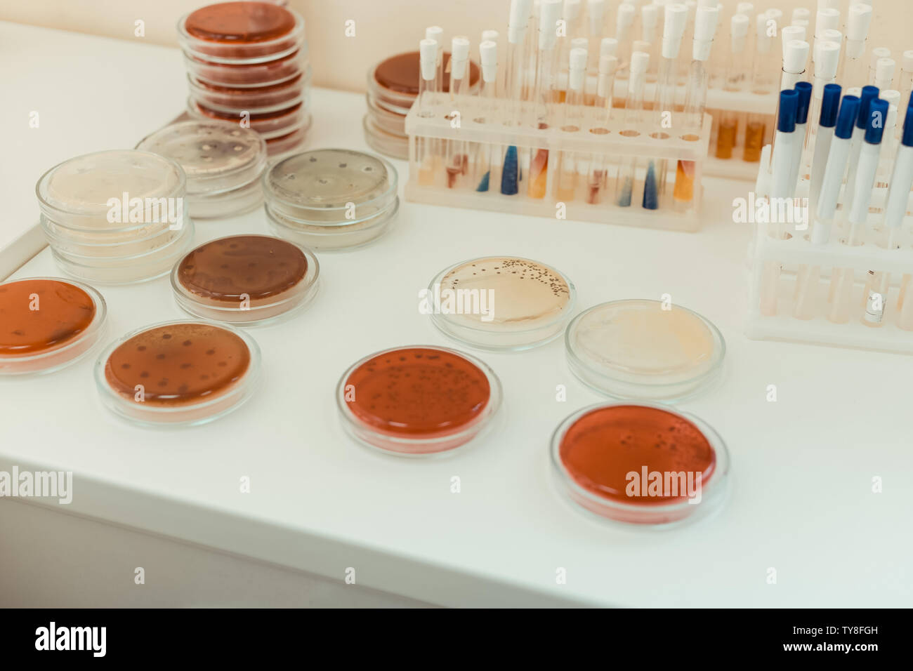 Top view of test samples standing on the table Stock Photo - Alamy
