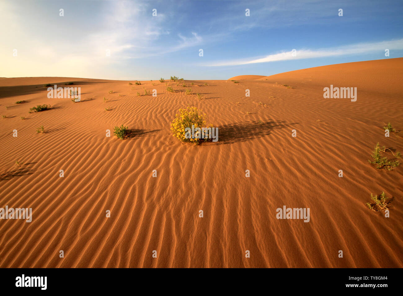 Resorts outdoor attractions famous scenic spots tourist attractions ...