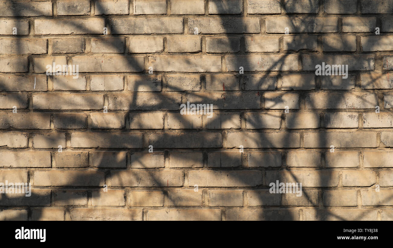 Nostalgic brick walls, mottled tree shadows Stock Photo - Alamy