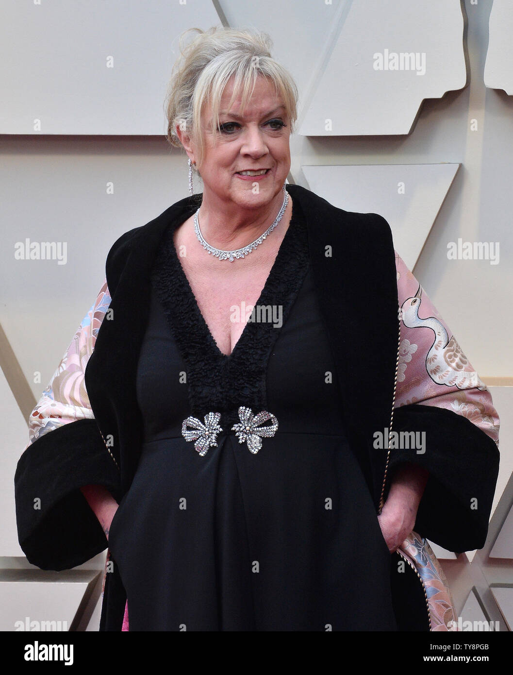 Ceci Dempsey arrives on the red carpet for the 91st annual Academy ...