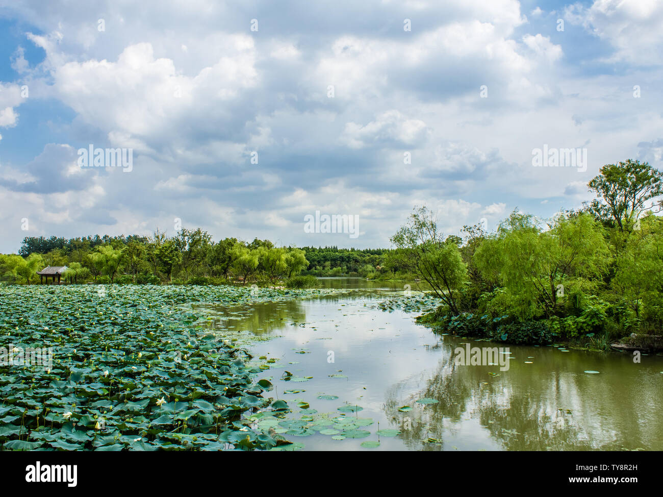 Scenery of Gucun Park in Shanghai Stock Photo - Alamy