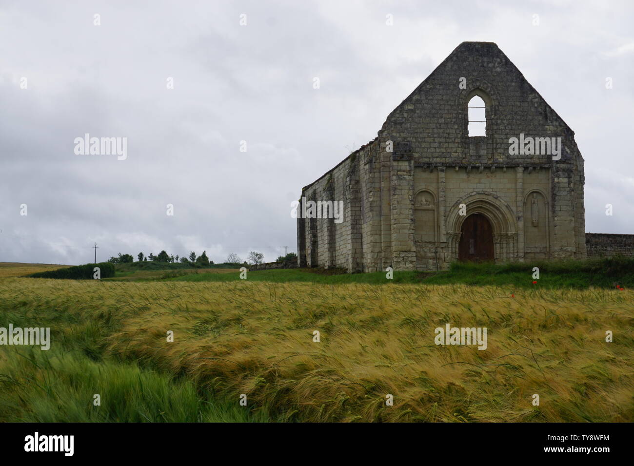 old stone church in ruins in the countryside by a wheat field in France ...