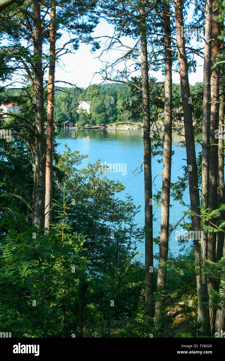 Sea and woods in Finland's archipelago Stock Photo - Alamy