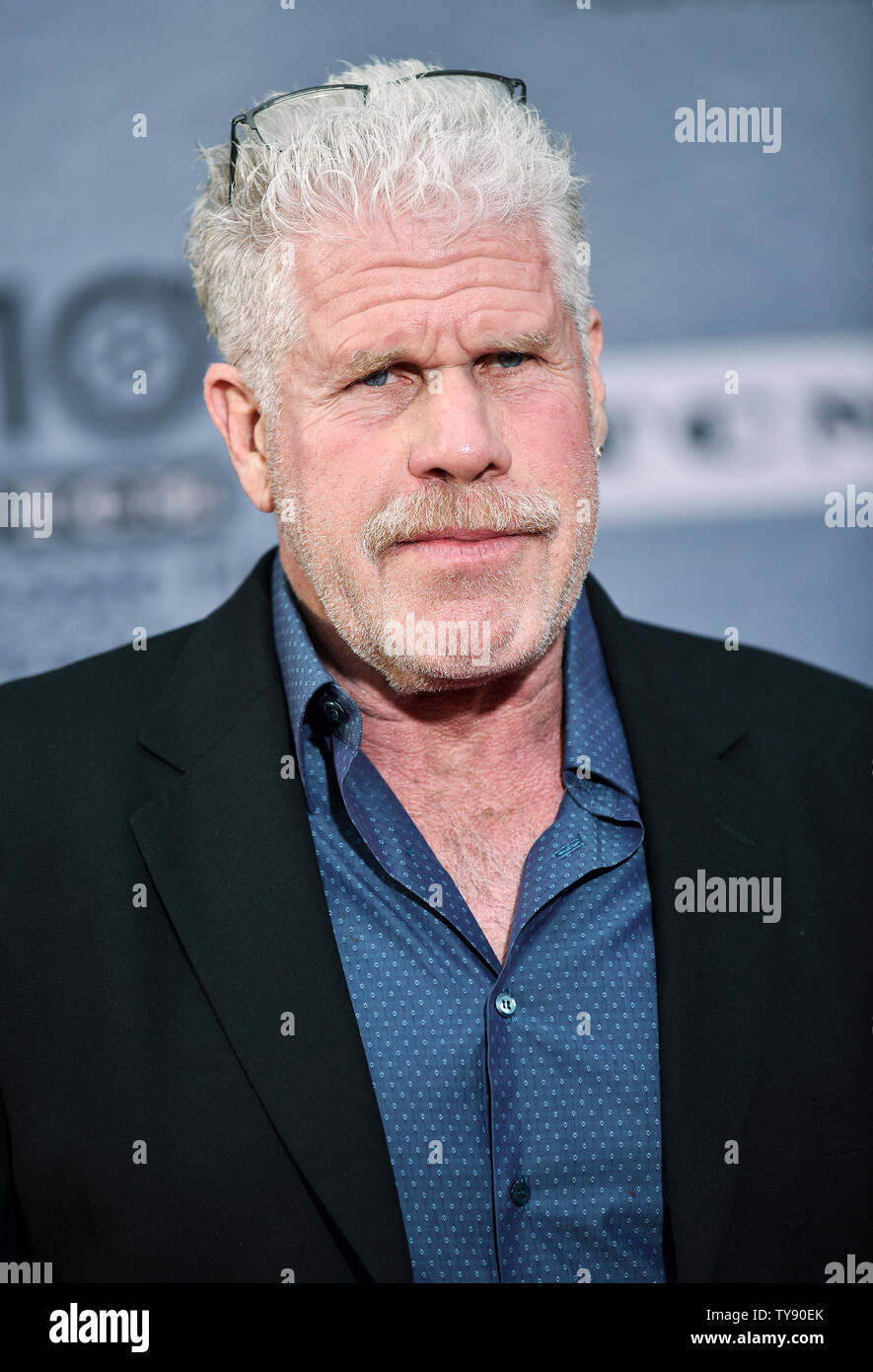 Ron Perlman arrives for the 10th annual TCM Classic Film Festival ...