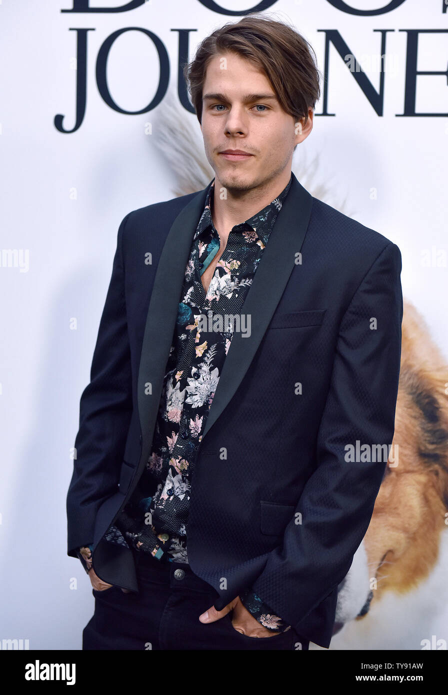 Jake Manley attends the premiere of 'A Dog's Journey' at the ArcLight ...