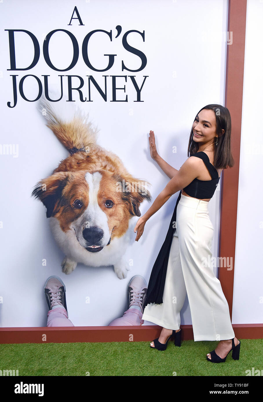 Singer and songwriter Emily Bear attends the premiere of 'A Dog's ...