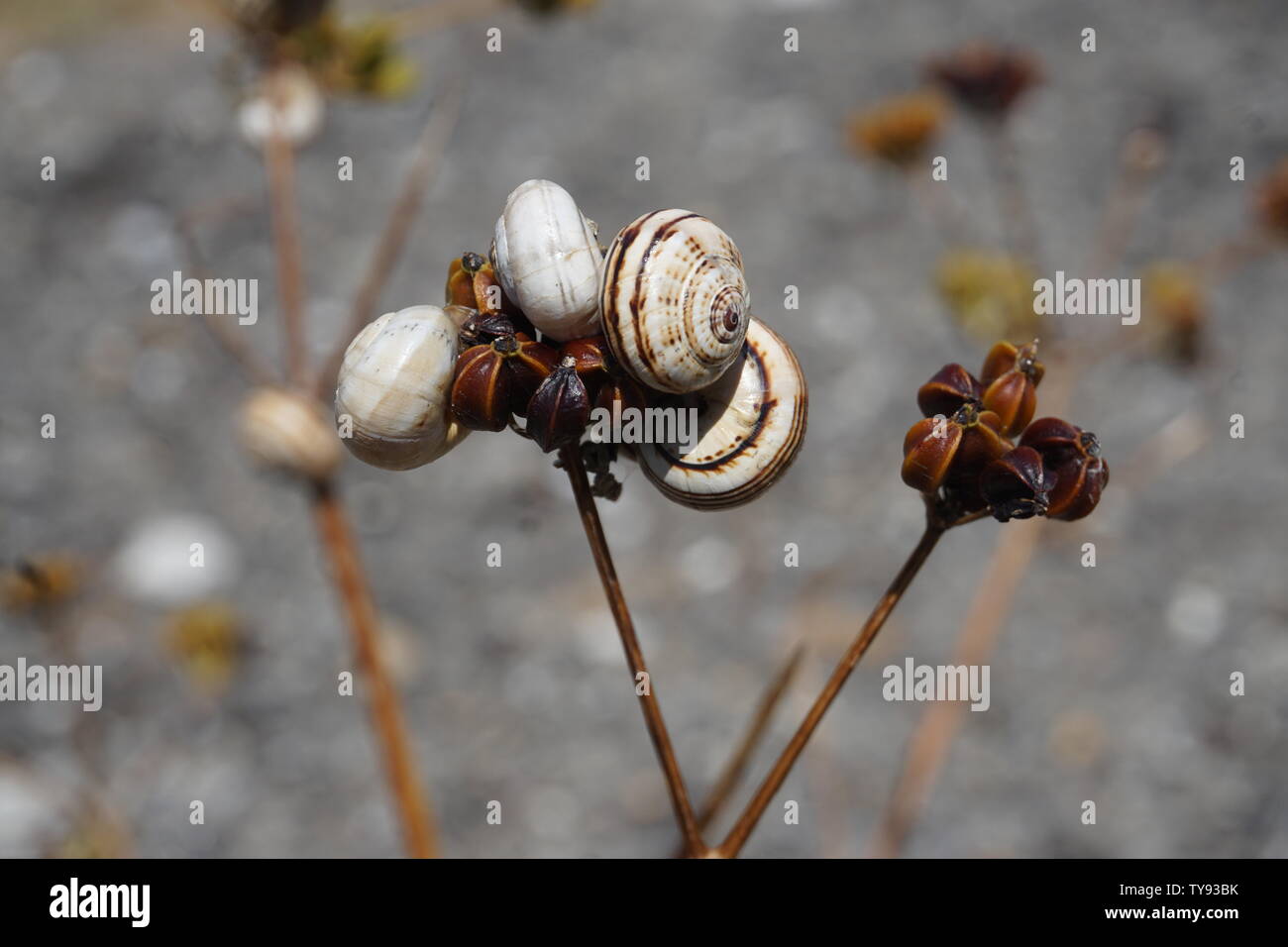 Unusual balance hi-res stock photography and images - Alamy