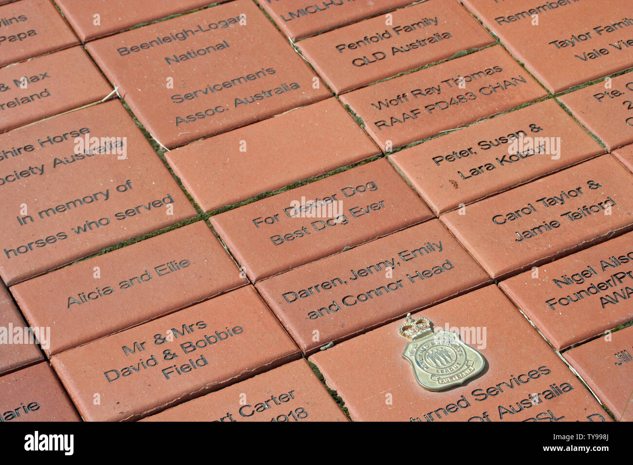 Memorial de guerra animal de la primera guerra mundial hi-res stock ...