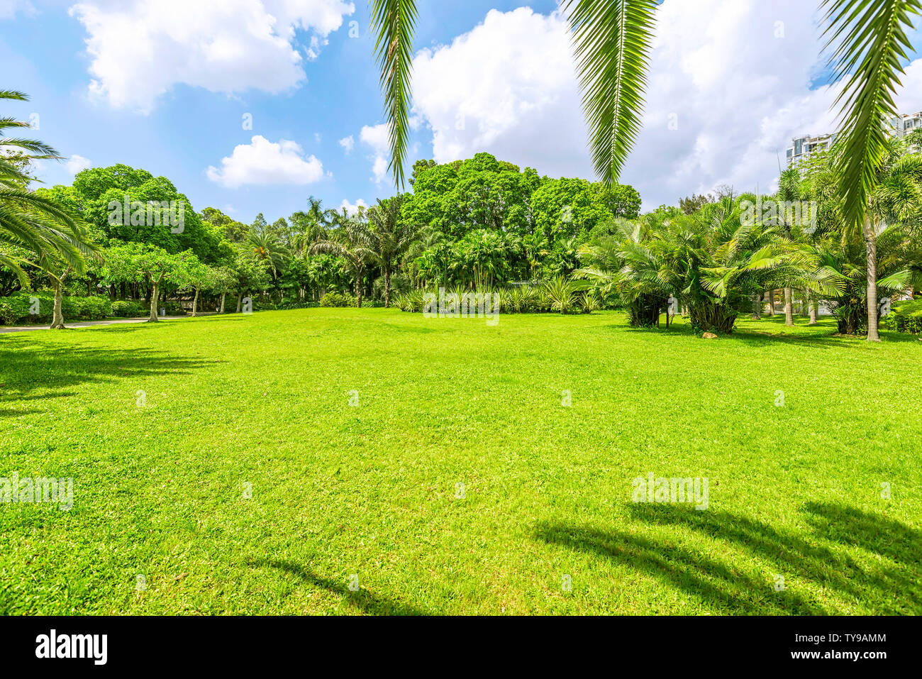 Public summer park under sunshine hi-res stock photography and images ...