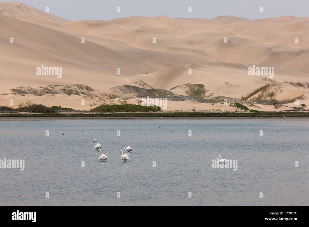 Sandwich bay hi-res stock photography and images - Alamy