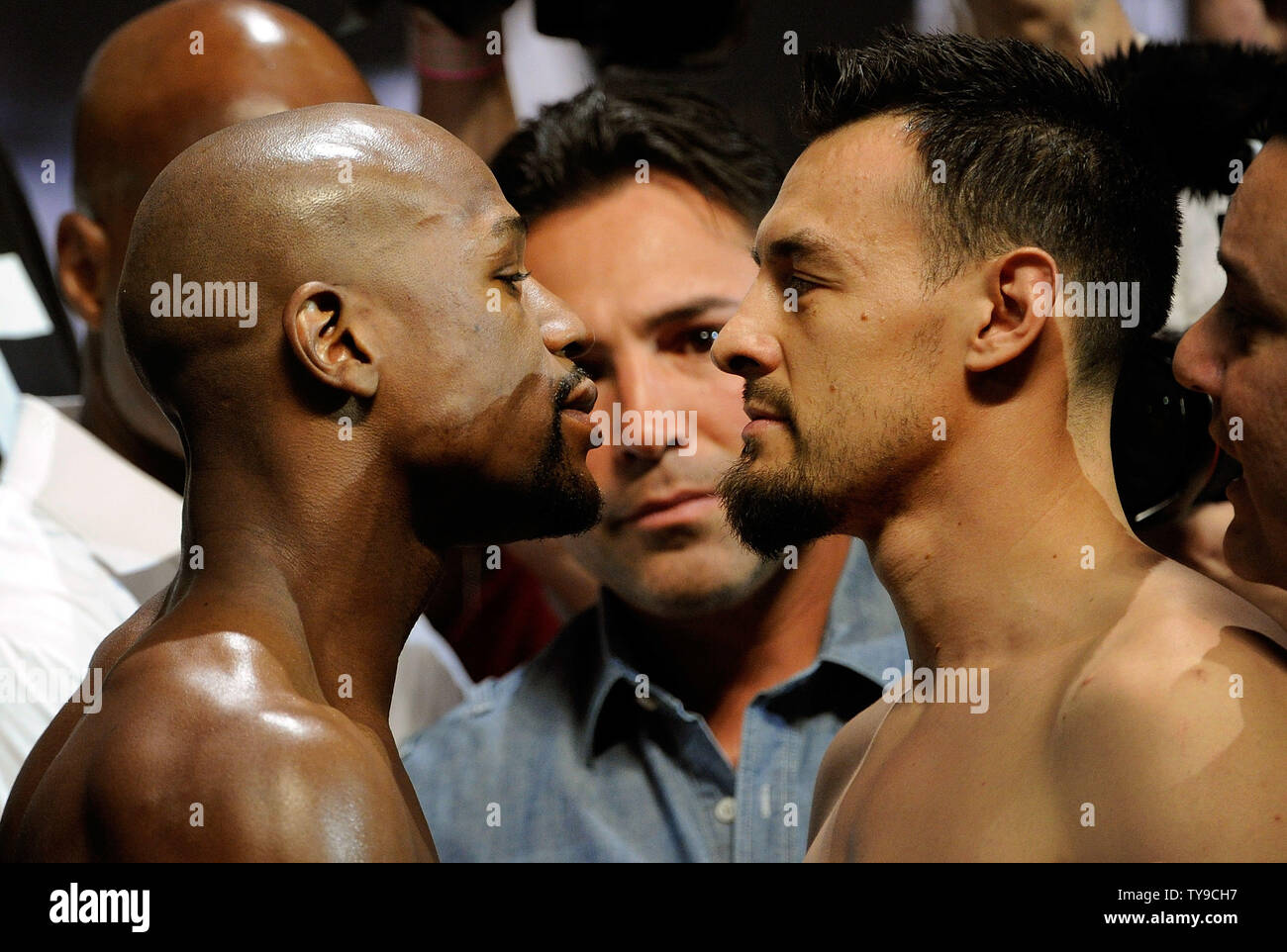 Boxers face hi-res stock photography and images - Alamy