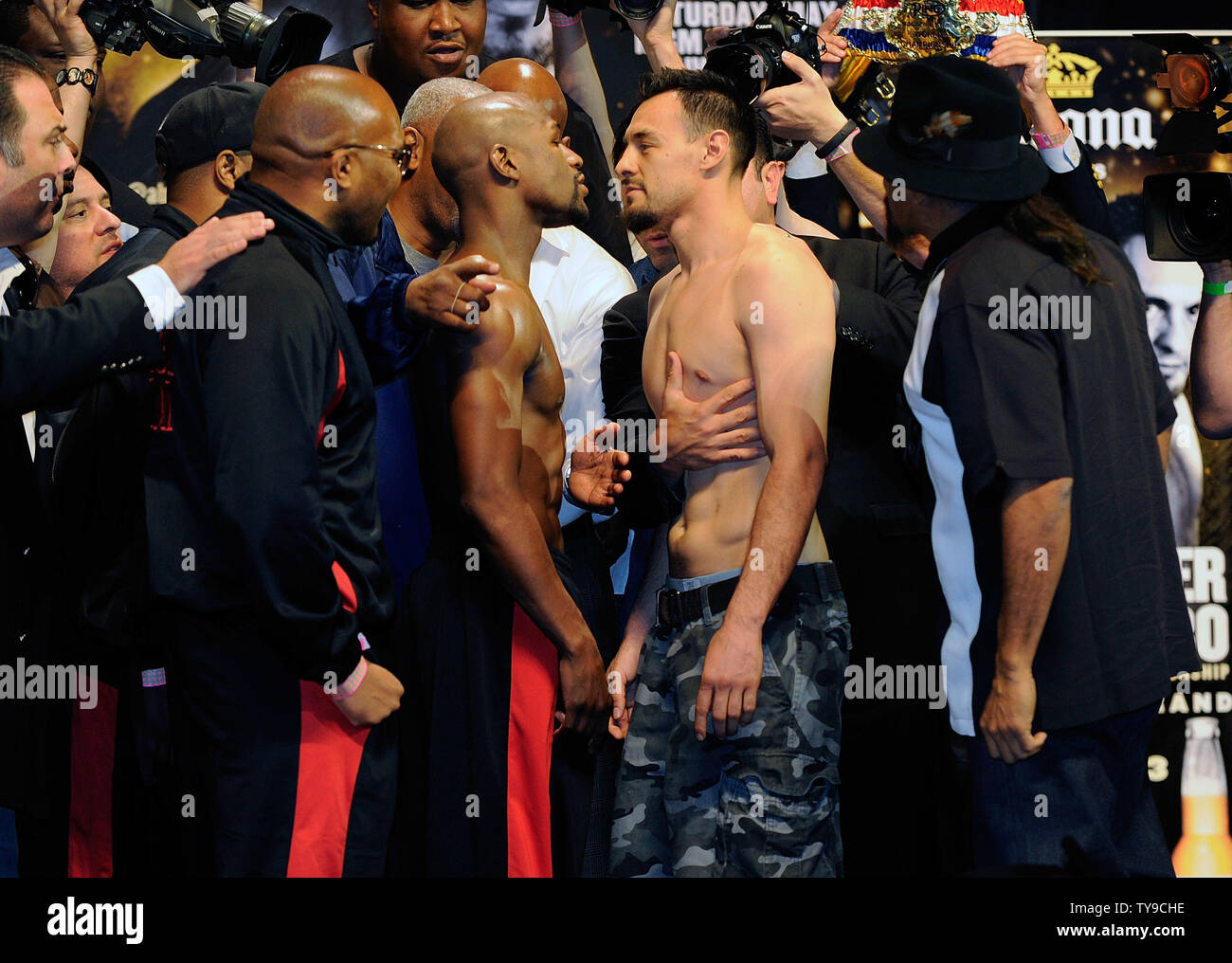 Boxers face to face hi-res stock photography and images - Alamy