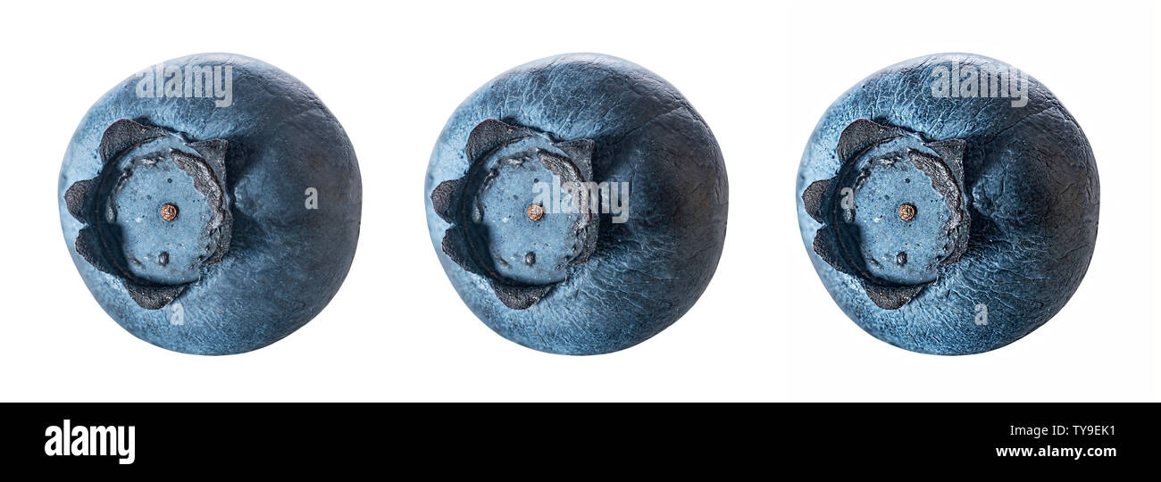 Stage wilting blueberries. Concept: aging, skin aging associative array ...