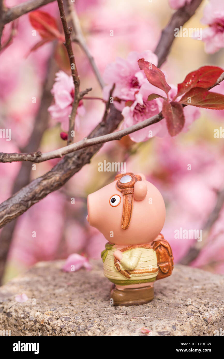 Piglet dolls in the flowers Stock Photo - Alamy