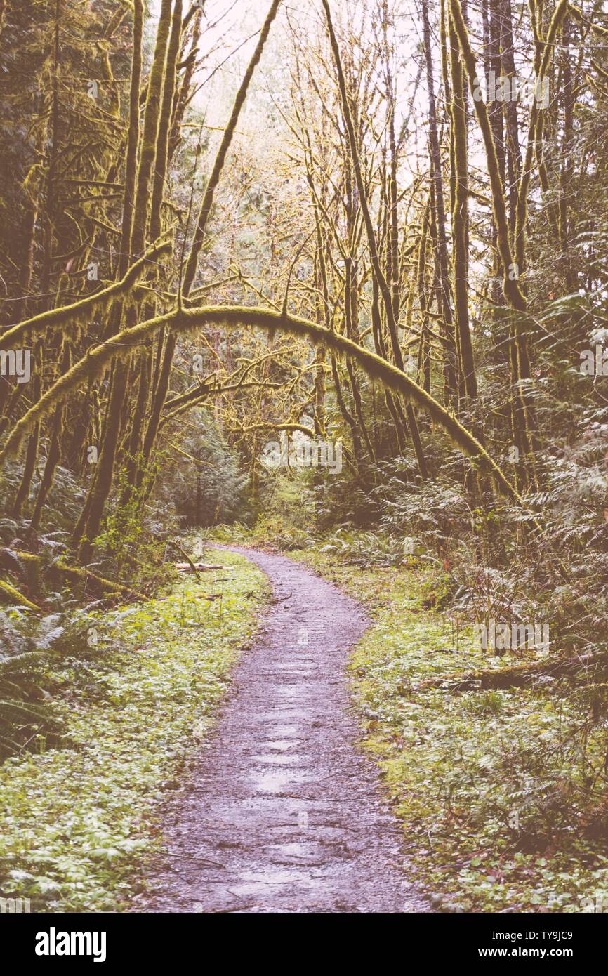 Pathway walkway thai people hi-res stock photography and images - Alamy