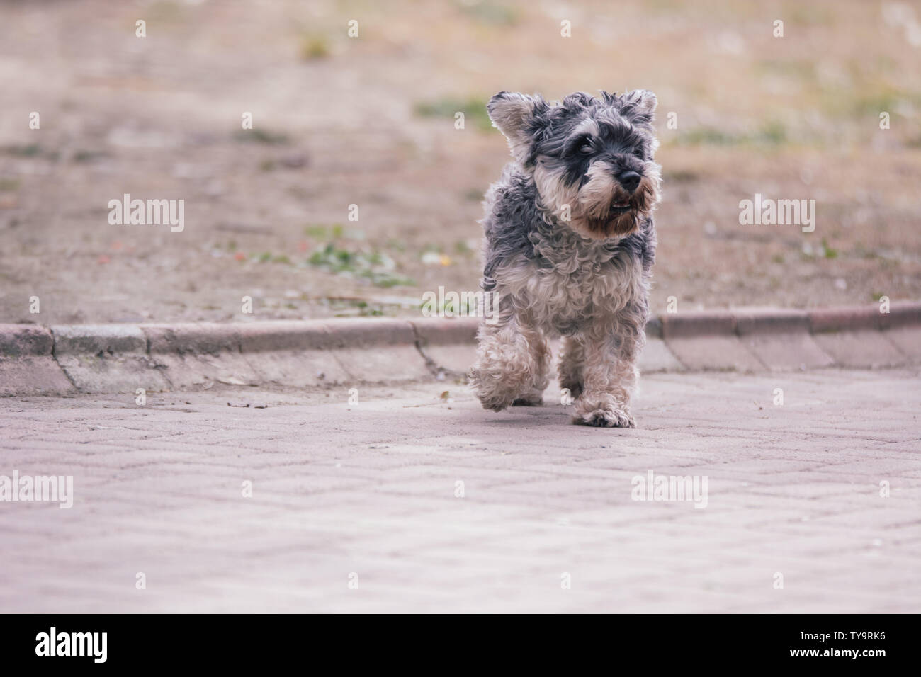 Chenery hi-res stock photography and images - Alamy