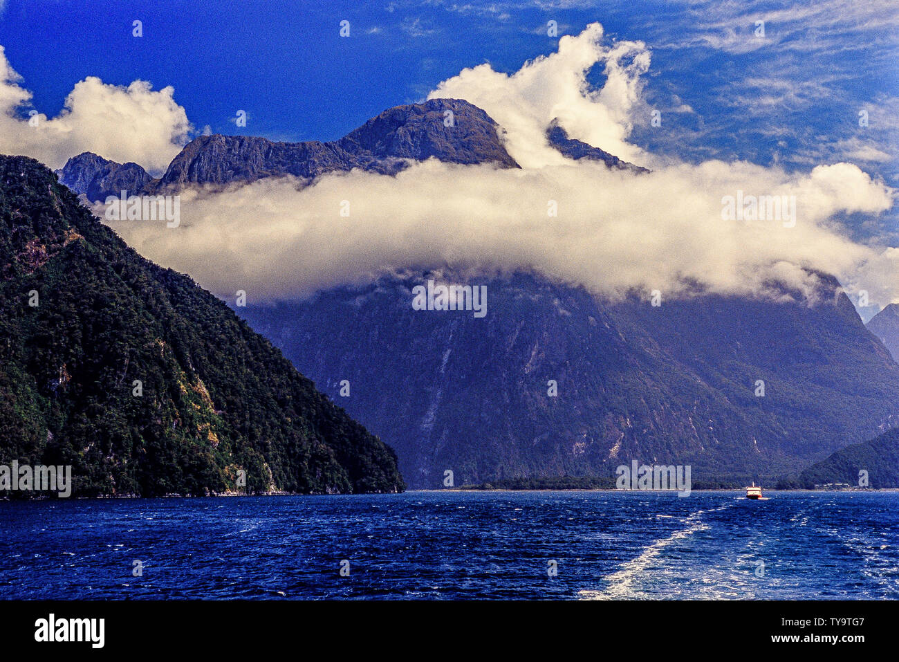 New Zealand, South Island. Milford Sound / Piopiotahi is a fiord in the ...