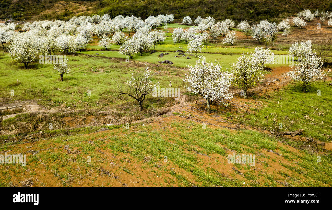 Lianzhou city hi-res stock photography and images - Alamy