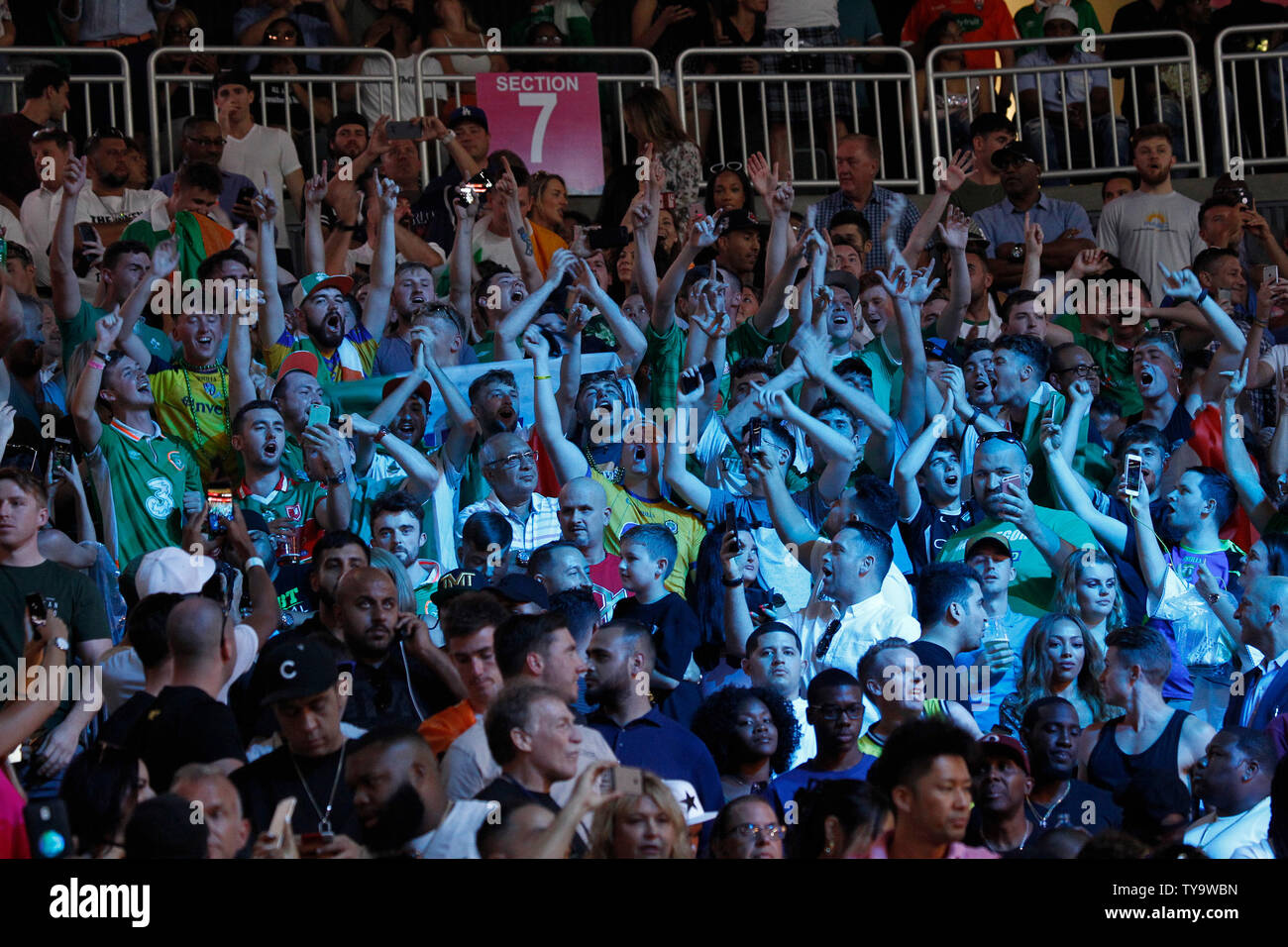 Conor mcgregor fans hi-res stock photography and images - Alamy