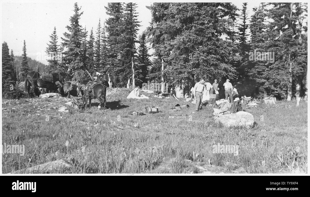 North Cascade Primitive Area at Unimproved Sites, Elbow Basin, Mount ...