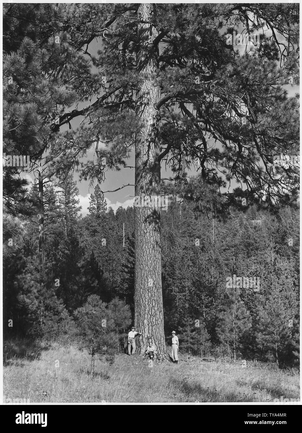 Colville indian reservation hi-res stock photography and images - Alamy