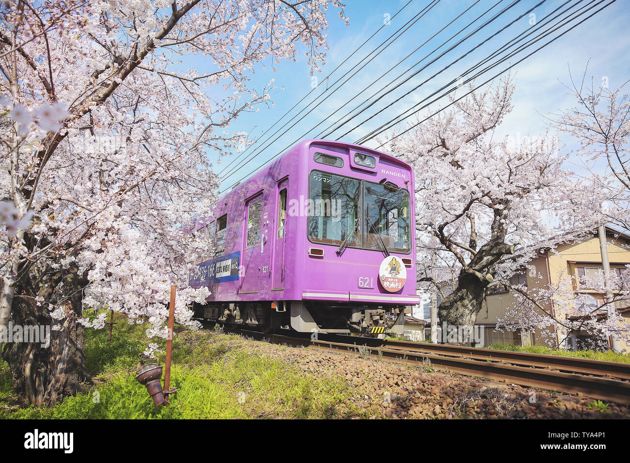 Kyoto Lan electric cherry blossom train Stock Photo - Alamy