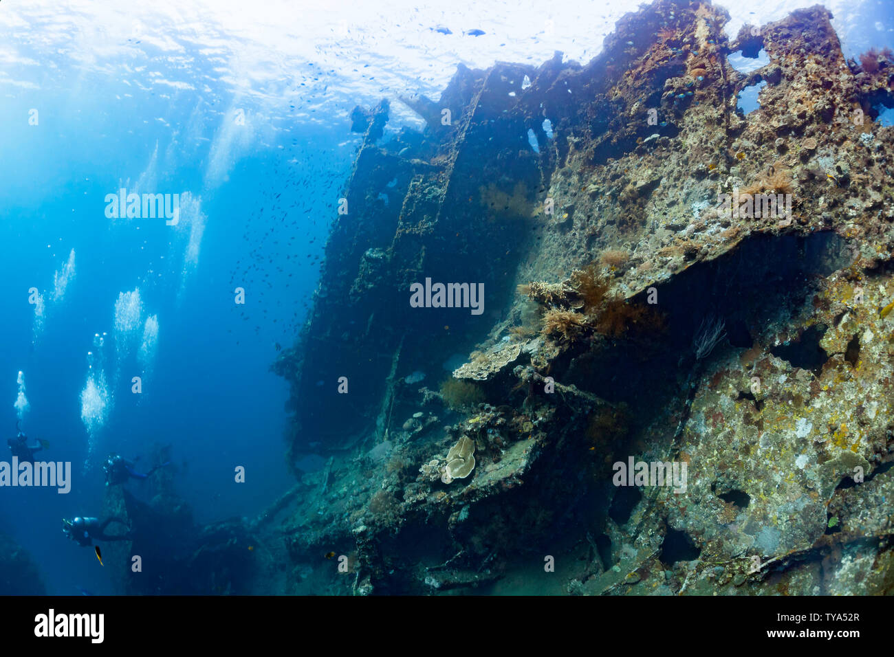 Divers exploring the Liberty wreck, Tulamben, Bali, Indonesia Stock ...