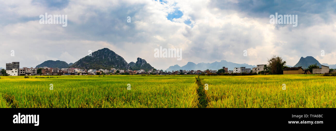 Monkey watch list hi-res stock photography and images - Alamy