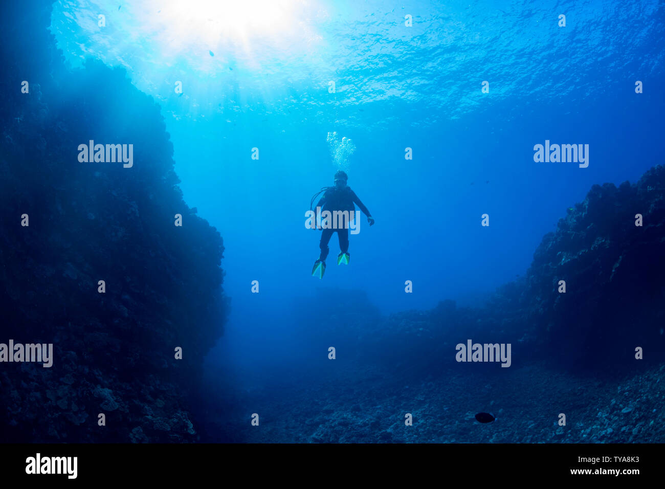 Underwater cave hawaii lanai diving cathedral dive site diver hi-res ...