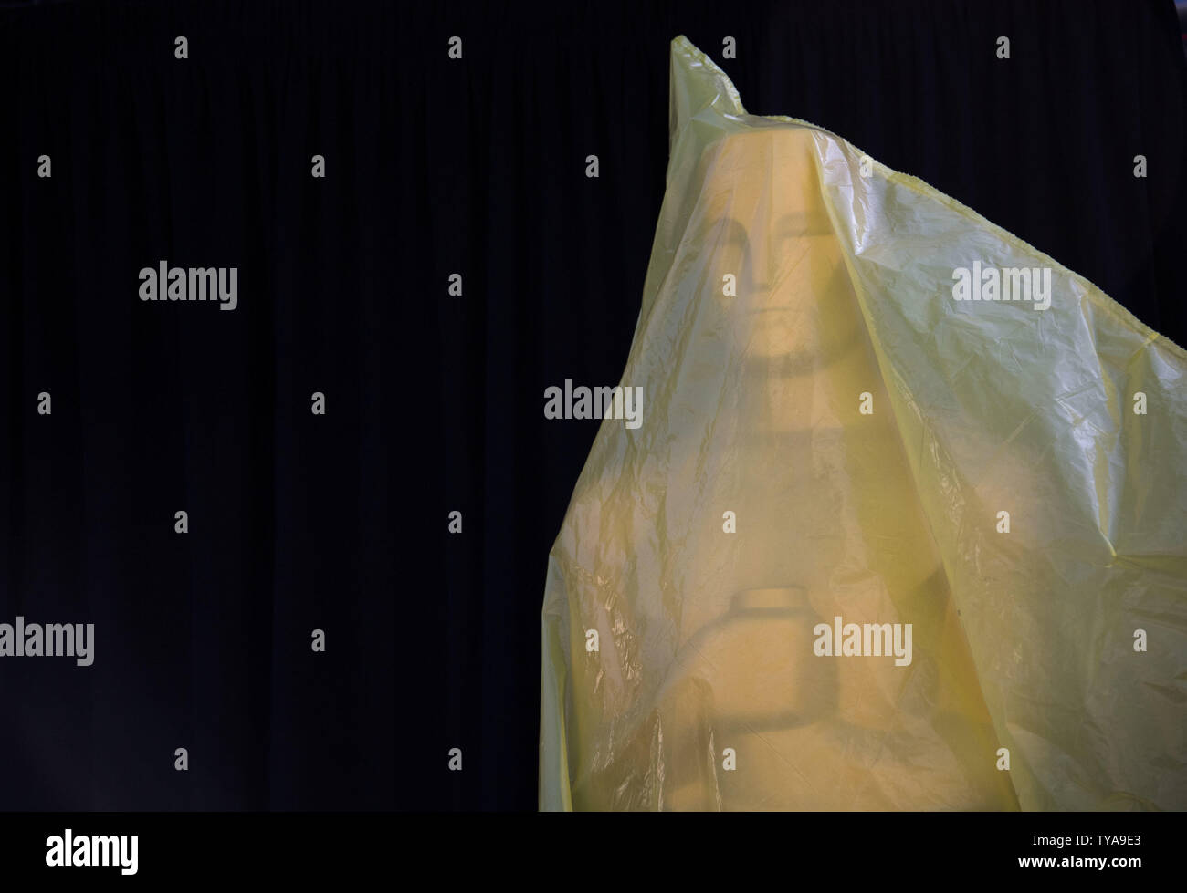 Plastic oscar hi-res stock photography and images - Alamy