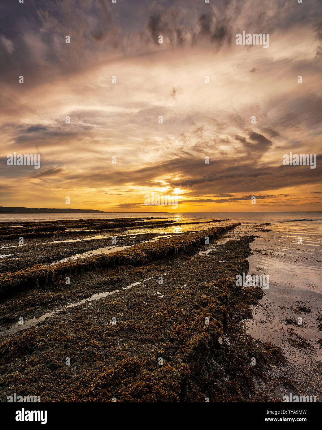 Sumba indonesia beach hi-res stock photography and images - Alamy