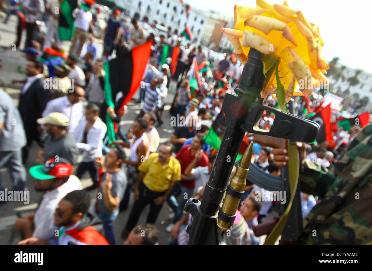 Libya national flower hi-res stock photography and images - Alamy