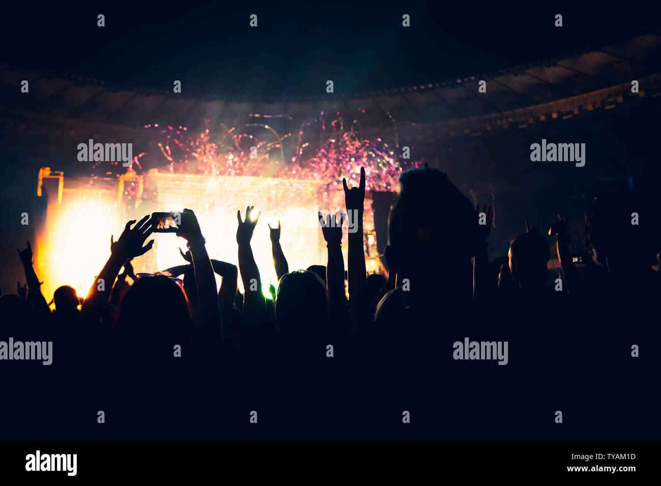 Concert Audience Silhouette