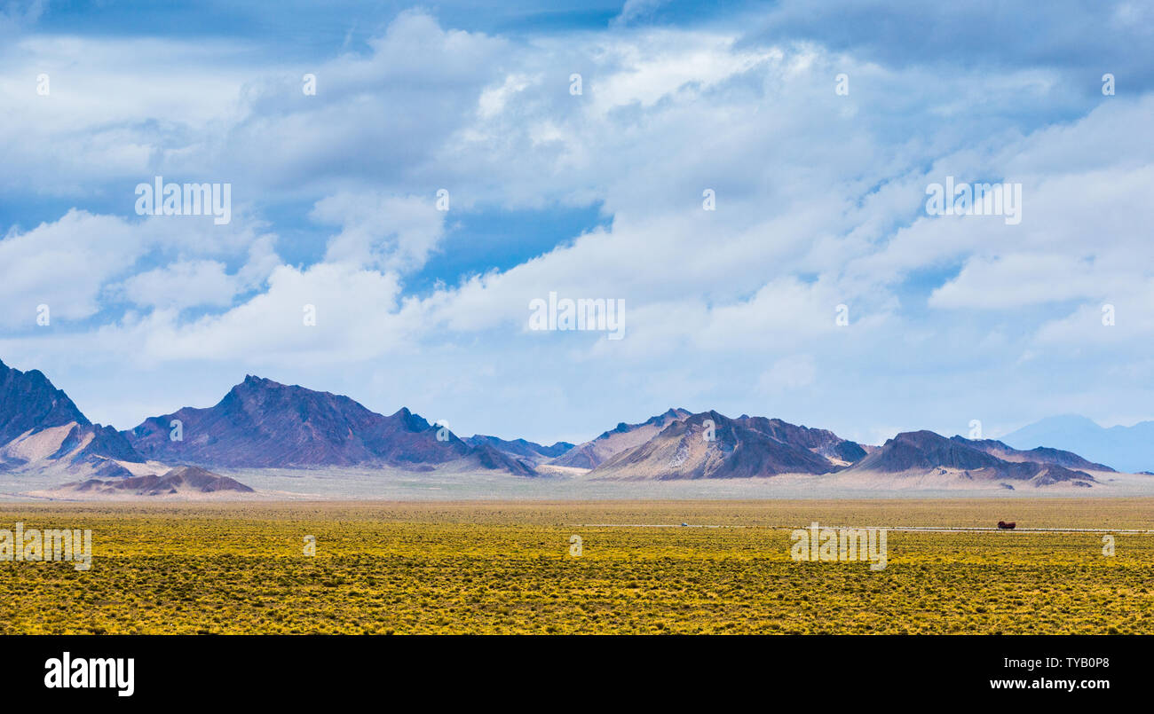 Picture of Tai Chai Dan Stock Photo - Alamy