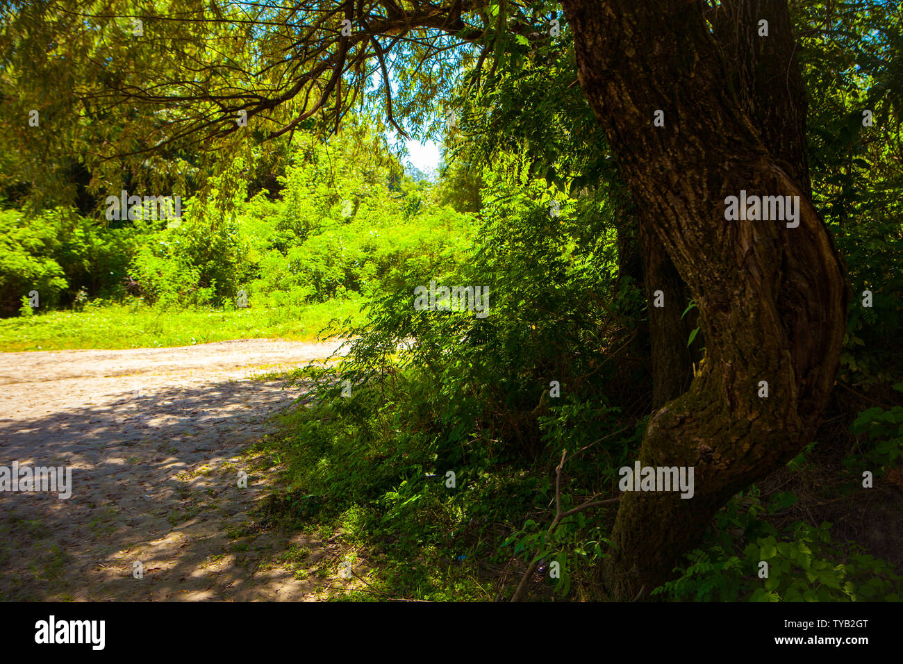 Beautiful park design Stock Photo - Alamy