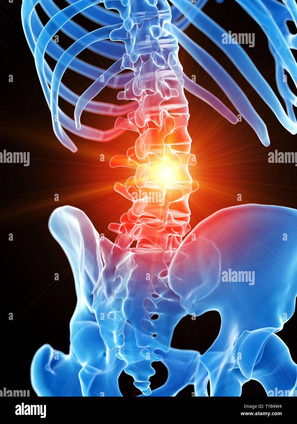 3d rendered medically accurate illustration of the lumbar spine showing ...