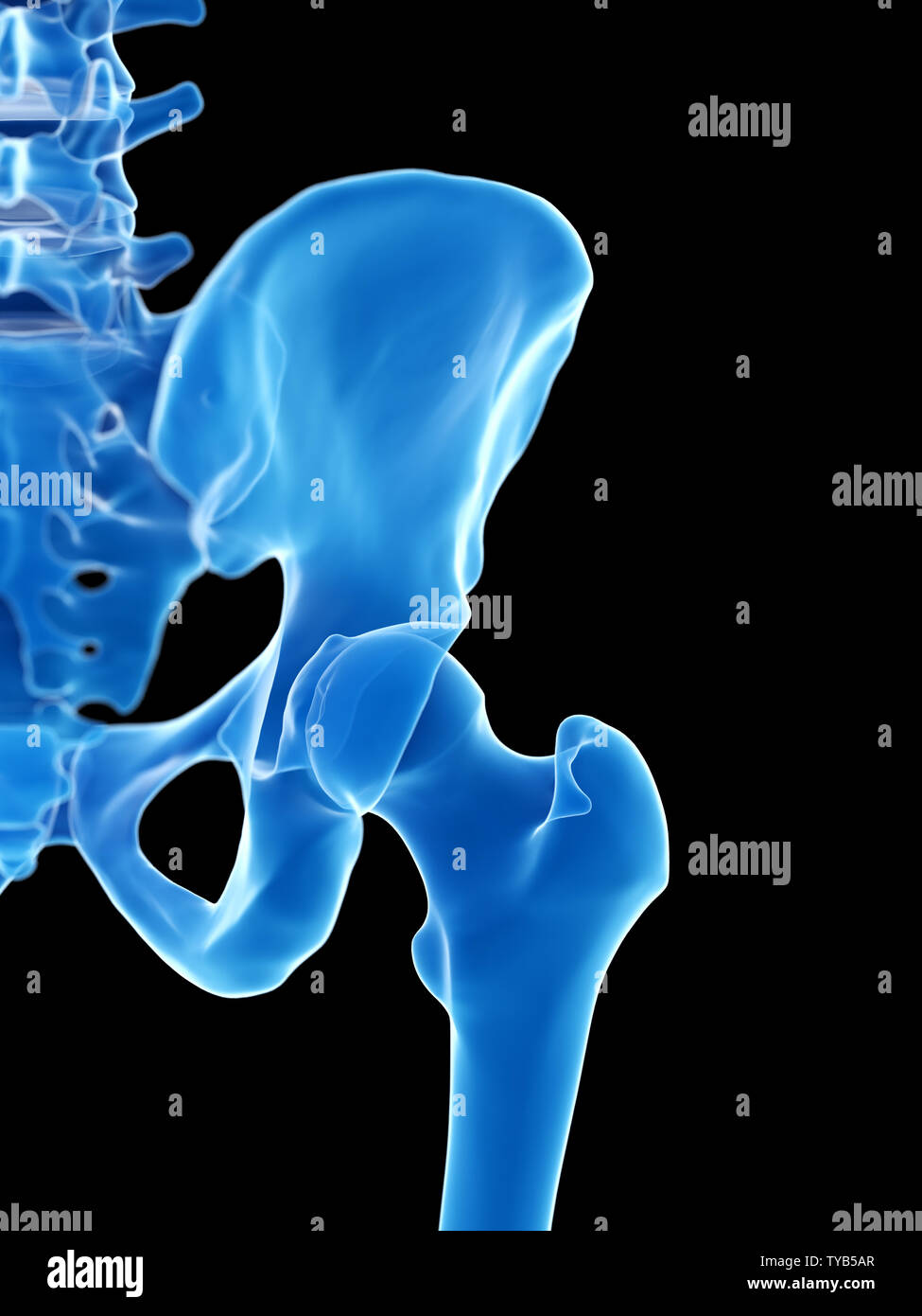 3d rendered medically accurate illustration of the hip joint Stock ...