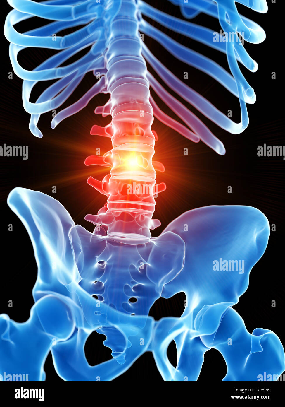 3d rendered medically accurate illustration of the lumbar spine showing ...