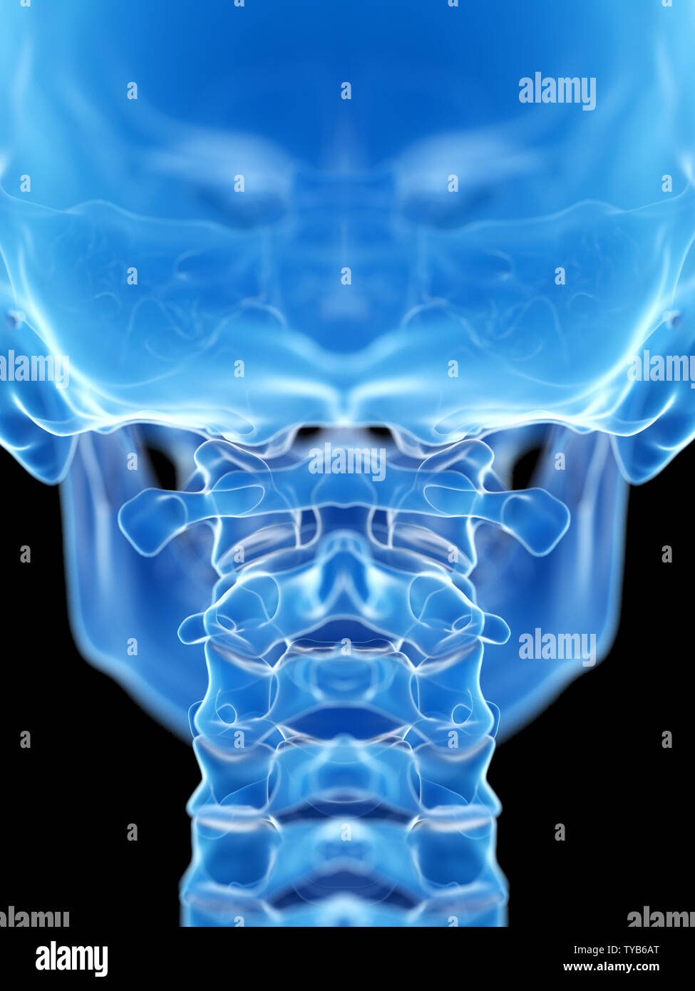 3d rendered medically accurate illustration of the atlas bone Stock ...