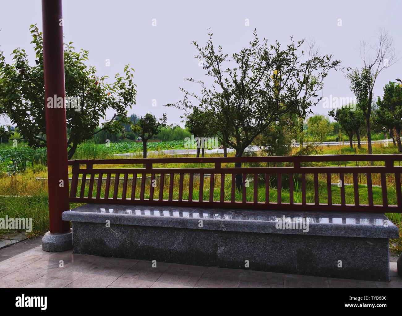 Long pavilion trees hi-res stock photography and images - Alamy