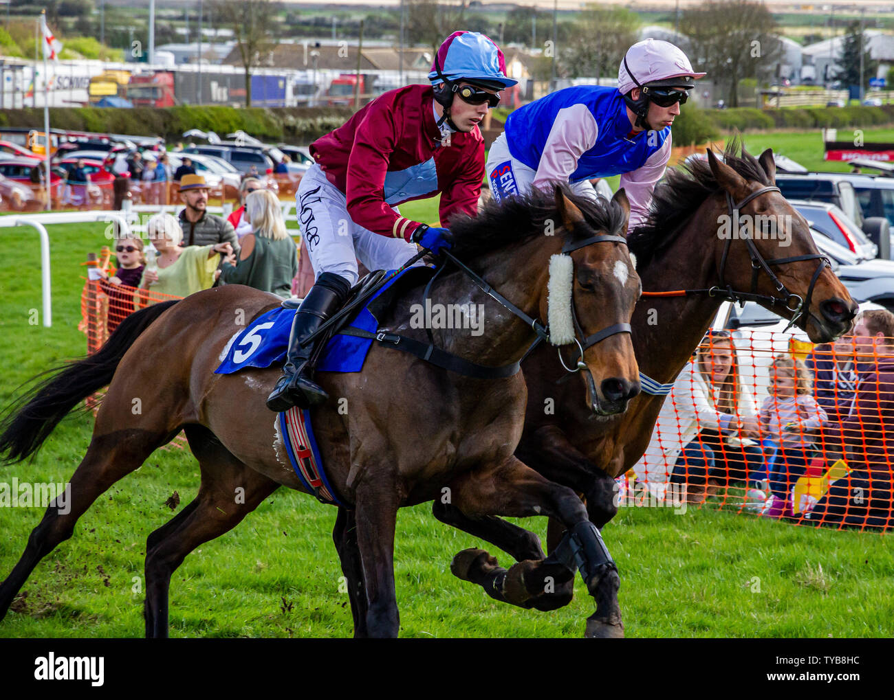Point To Point Horse High Resolution Stock Photography and Images - Alamy