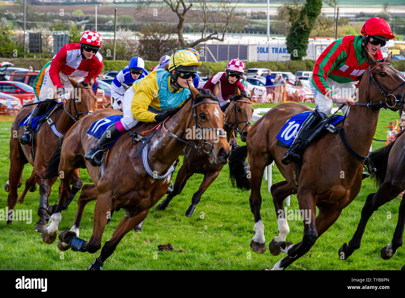 Point to point horse racing hi-res stock photography and images - Alamy