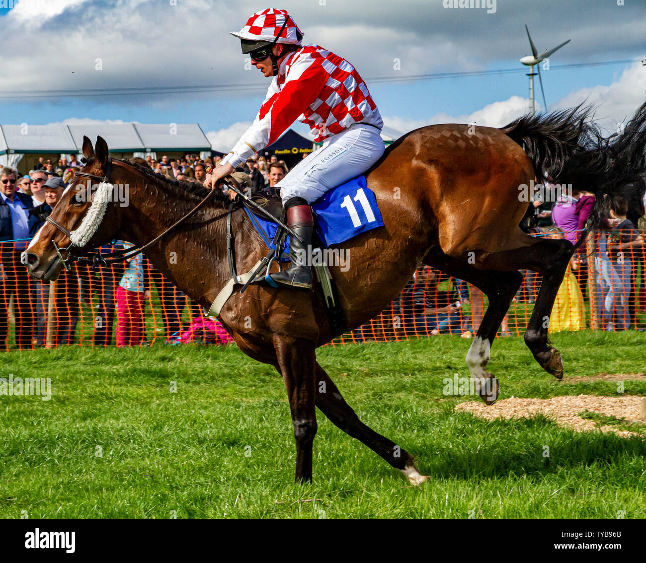 Point to point horse race hi-res stock photography and images - Alamy