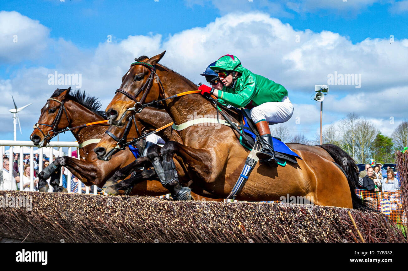 Point to point horse racing hi-res stock photography and images - Alamy