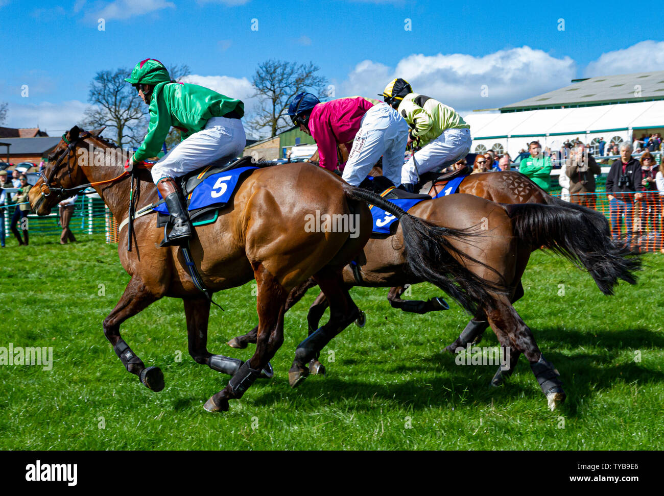 Horses Racing Finish High Resolution Stock Photography and Images - Alamy