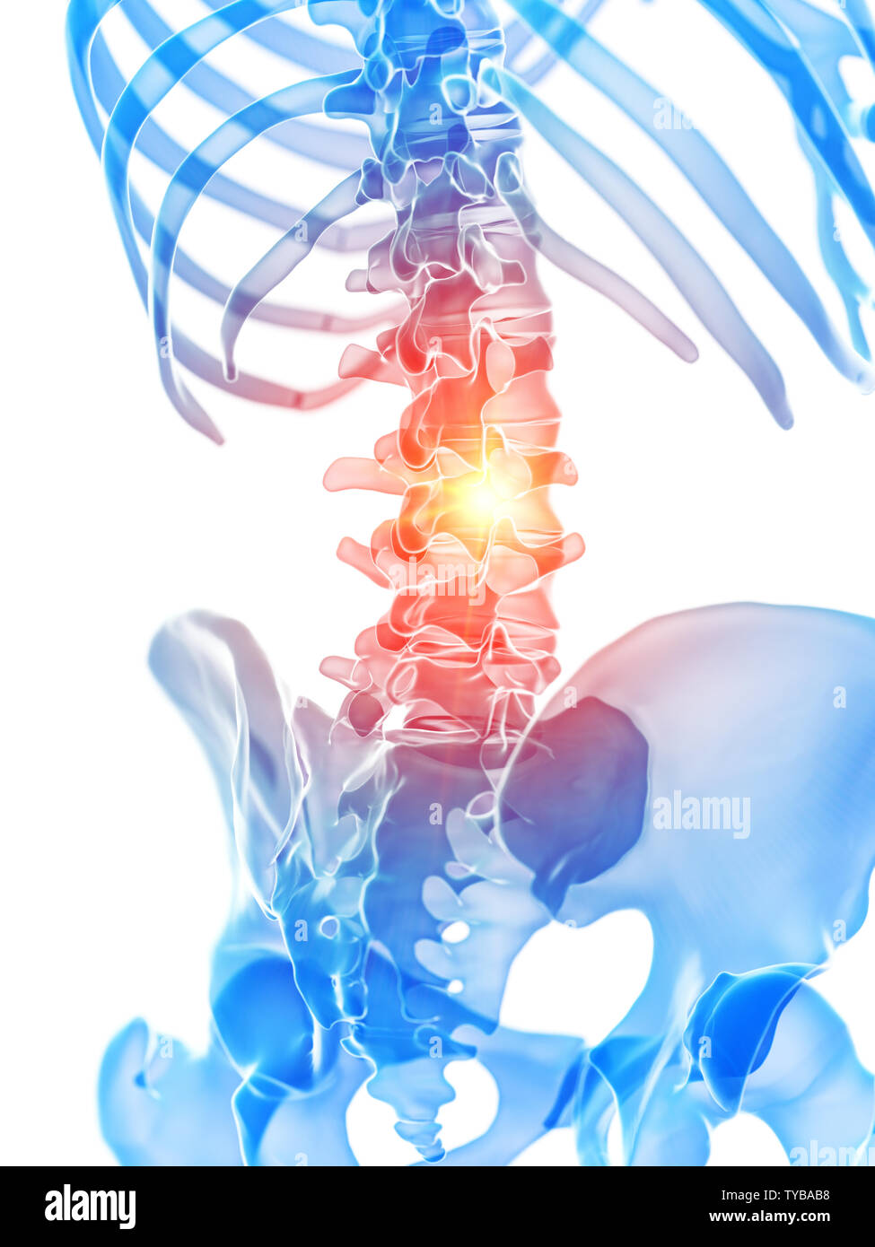 3d rendered medically accurate illustration of the lumbar spine showing ...