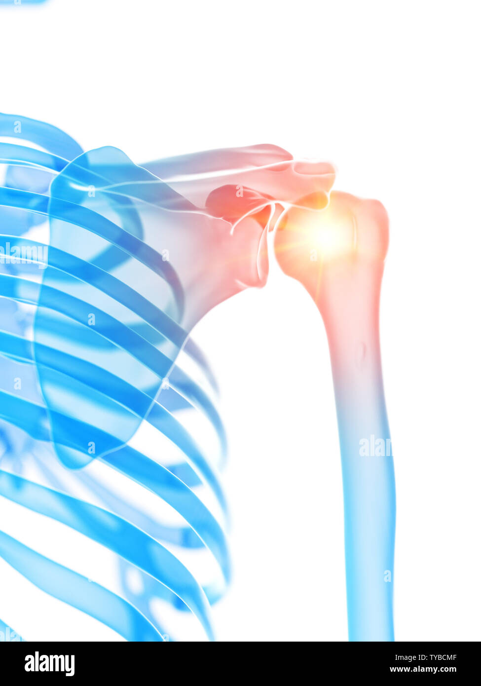 Human shoulder joint pain hi-res stock photography and images - Alamy