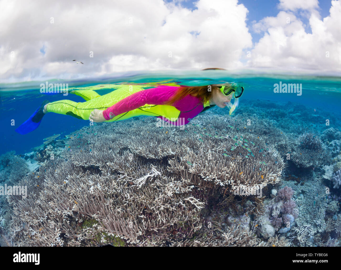 Freediver reef hi-res stock photography and images - Alamy