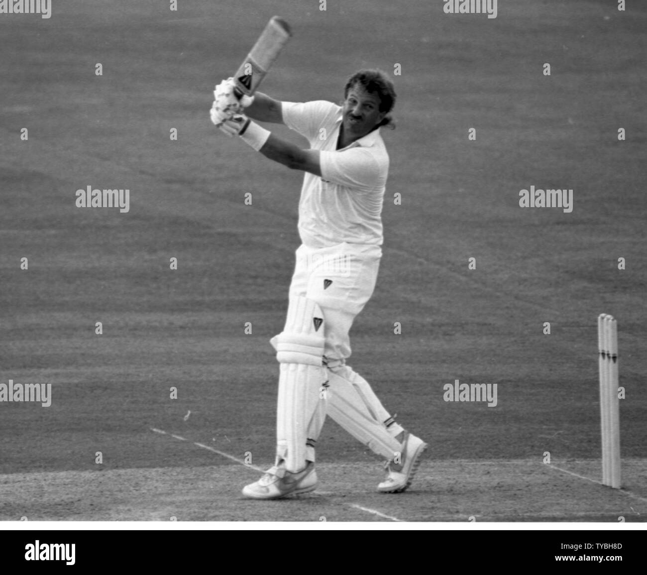 Cricket black and Black and White Stock Photos & Images - Alamy